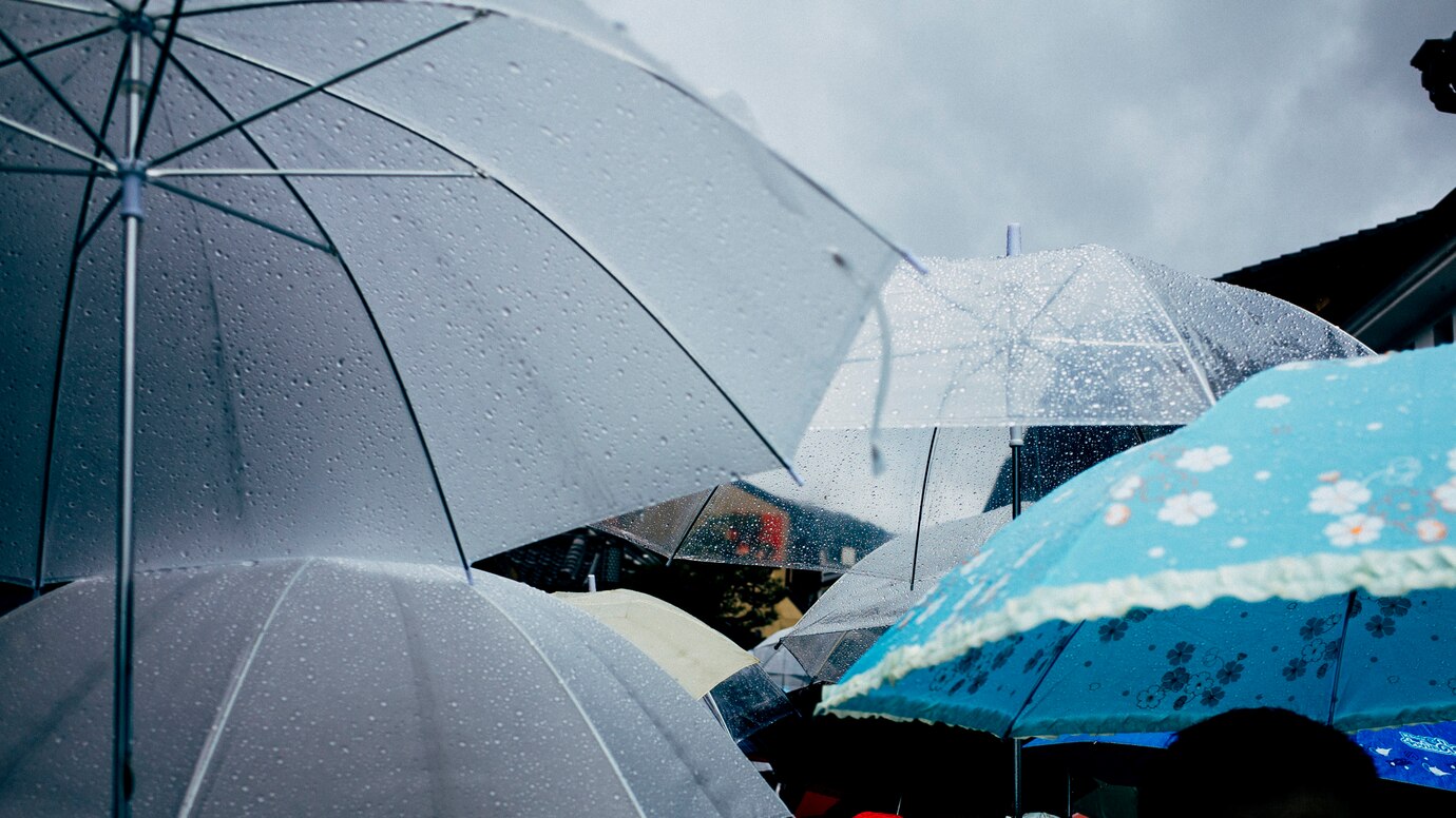 Meteo Biella: oggi pioggia, poi arriva il vento e torna il sole - Prima ...