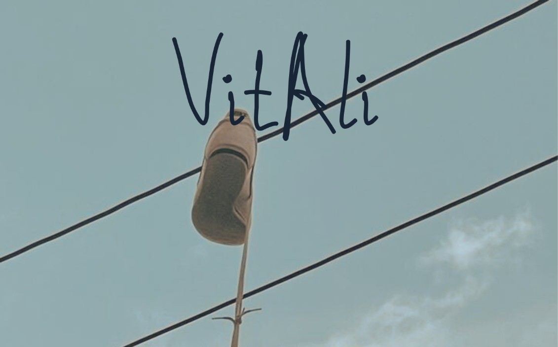 Il cortometraggio VitAli debutta a Biella a Palazzo Ferrero - Prima Biella
